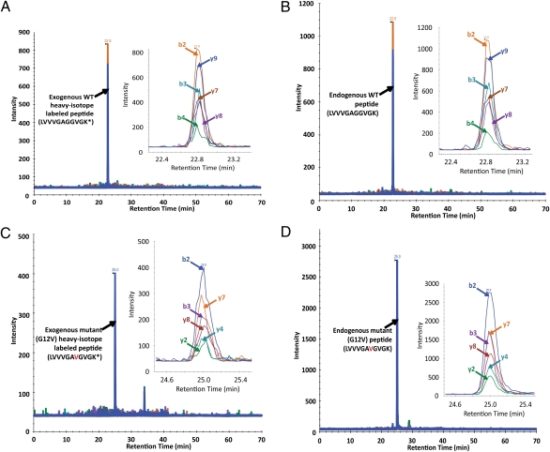SRM / MRM / PRM Absolute Quantification | Complete Omics Inc.