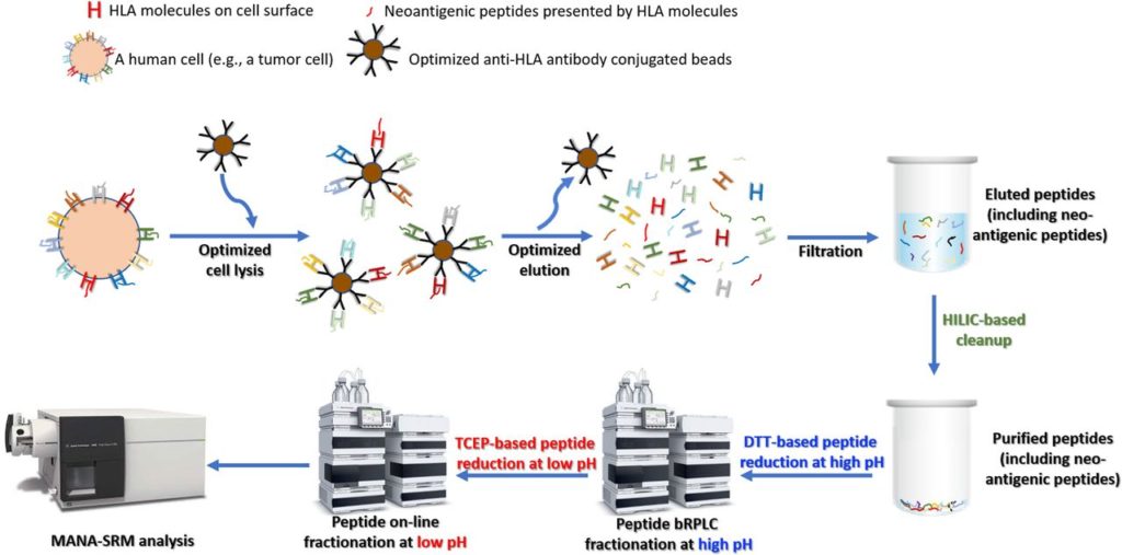 TMT and Label-dependent Quantification | Complete Omics Inc.