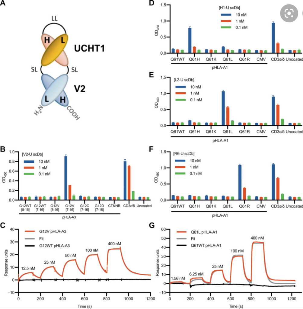 SRM / MRM / PRM Absolute Quantification | Complete Omics Inc.