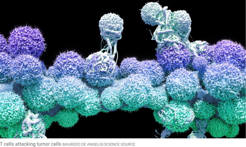 Host Cell Protein Analysis | Complete Omics Inc.