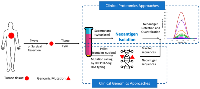 TMT and Label-dependent Quantification | Complete Omics Inc.